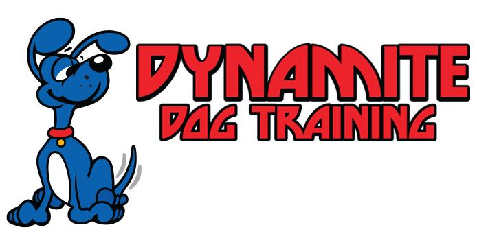 Dynamite's Favorites – My Elite Pet